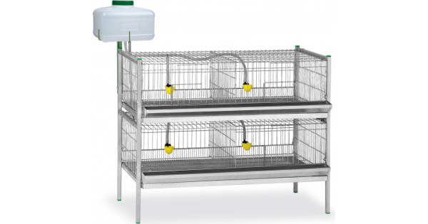 SHOW CAGE 2 FLOOR MAIN CAGE